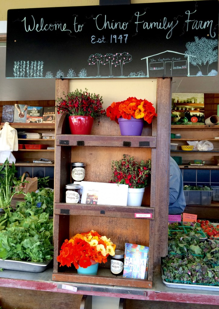 California Dreamin’ – Susan Herrmann Loomis | On Rue Tatin